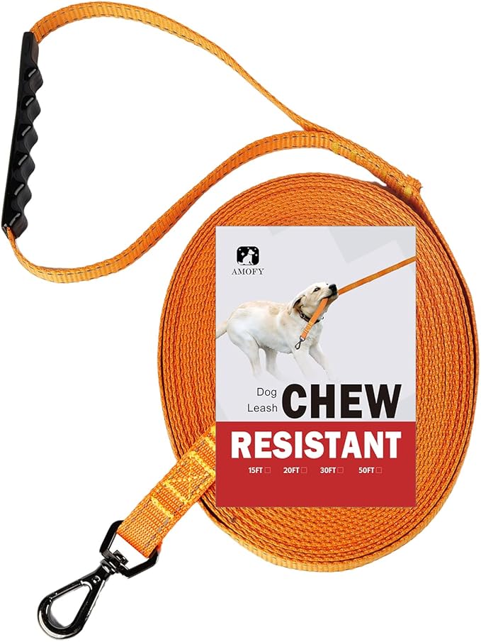 Amazon.com : Chew Resistant, Float on Water Dog Training Leash, Wear ...