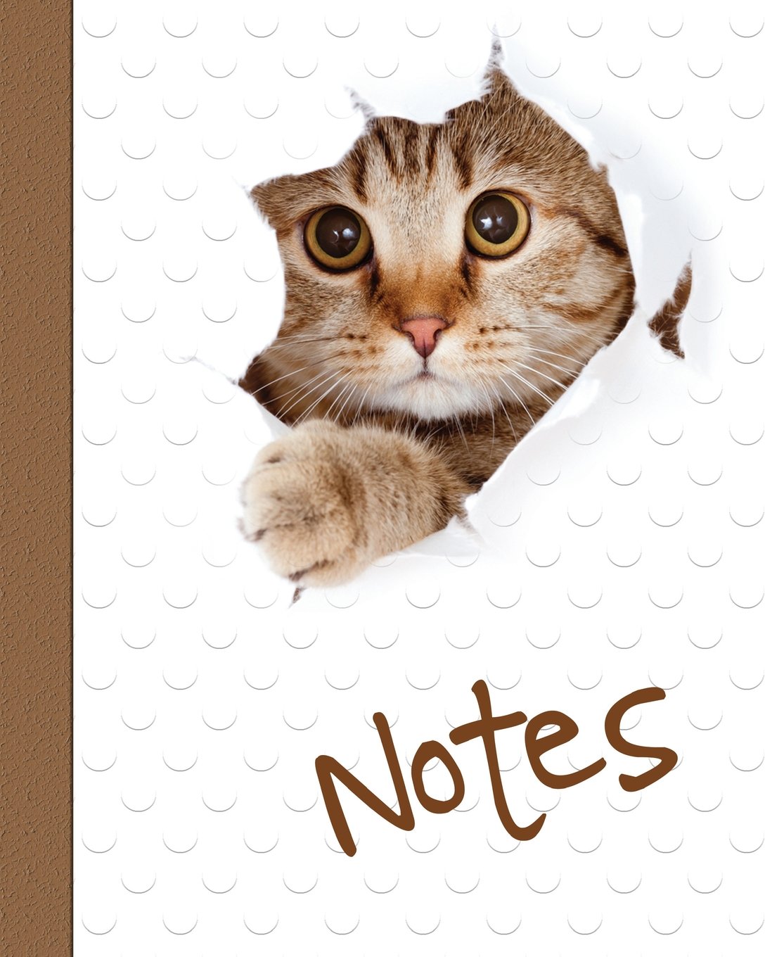 Cat Notebook, Notes, Jotter, Notebook, Lined Pages: 100 lined pages ...