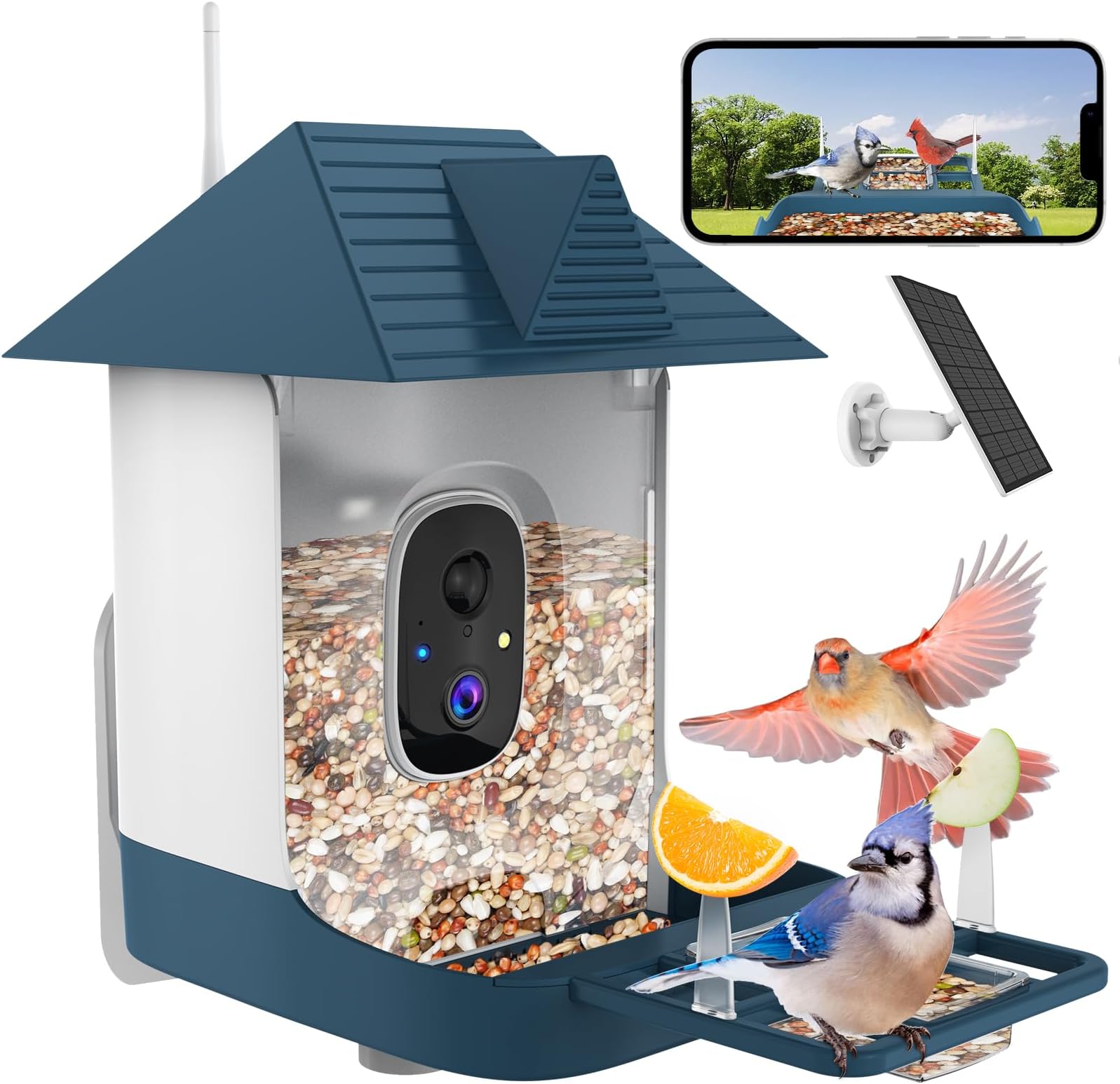 Amazon.com : Bird Feeder with Camera, 2K HD AI Identify Birds Species, Bird Feeder with Camera ...