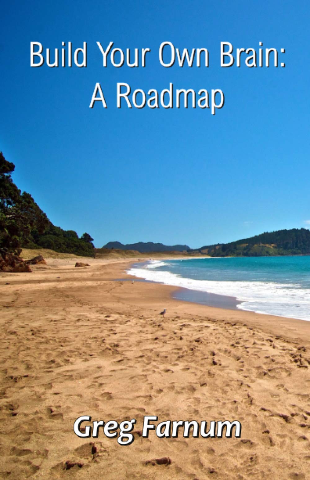 Buy Build Your Own Brain: A Road Online at desertcartINDIA