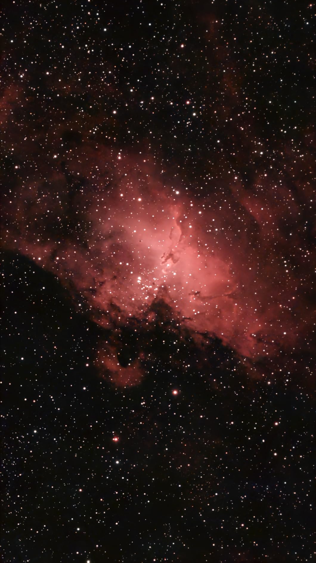 ZWO Seestar S50 Smart Digital Telescope All-in-One Autofocus Portable ...