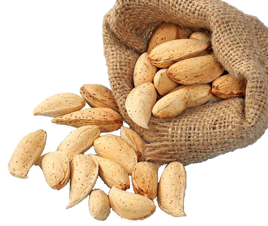 Meezan Kashmiri Kagzi Badam, Organic Product, Rich in Oil, Sweet in ...