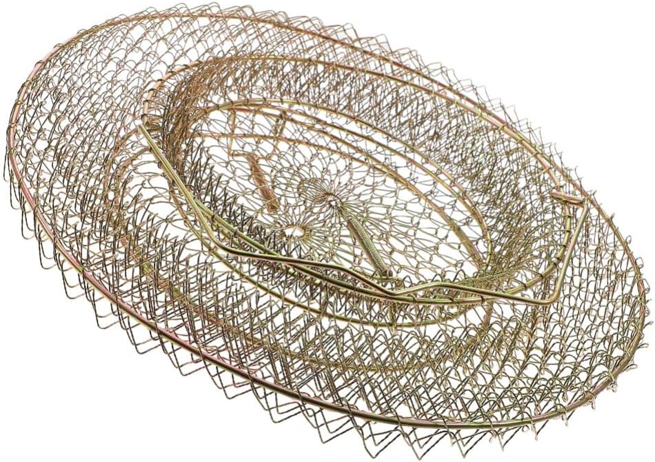 Amazon.com : BESPORTBLE Fish Basket Collapsible Wire Fish Baskets ...