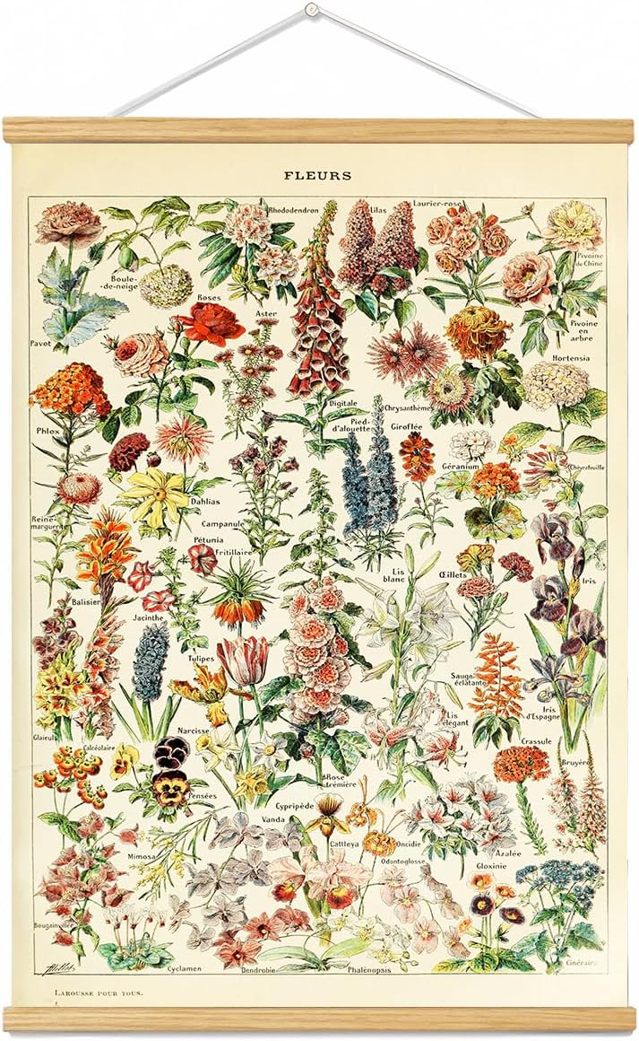 Amazon.com: BAEMEFLE Vintage Flowers Poster Hanger Frame, Plant Floral ...