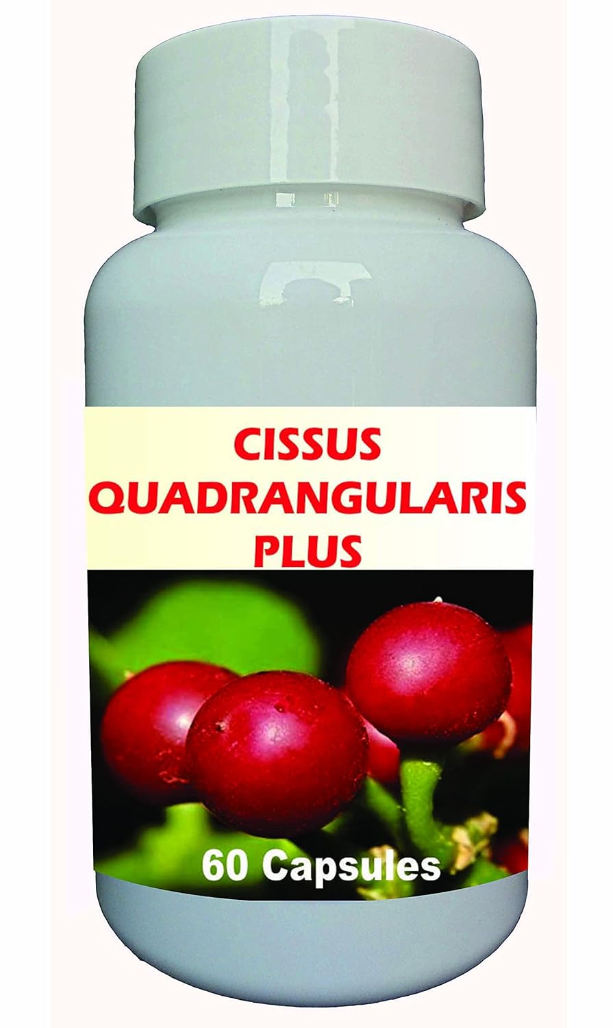 Buy CISSUS QUADRANGULARIS PLUS CAPSULES - 60 CAPSULES {GET 1 BOTTLE ...