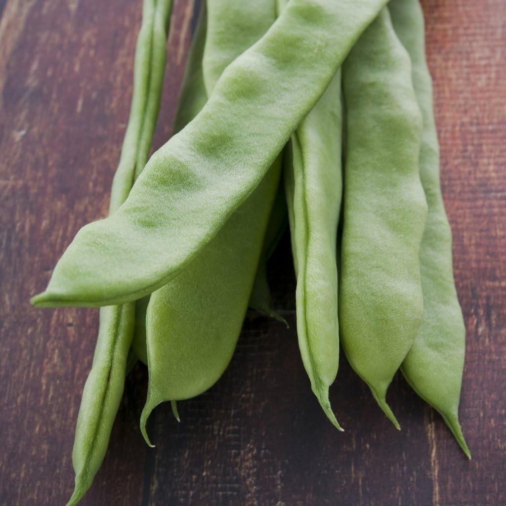 GROSEEDS - Vegetable Seeds, Runner Bean - White Lady, V-RNB-03, 20 ...