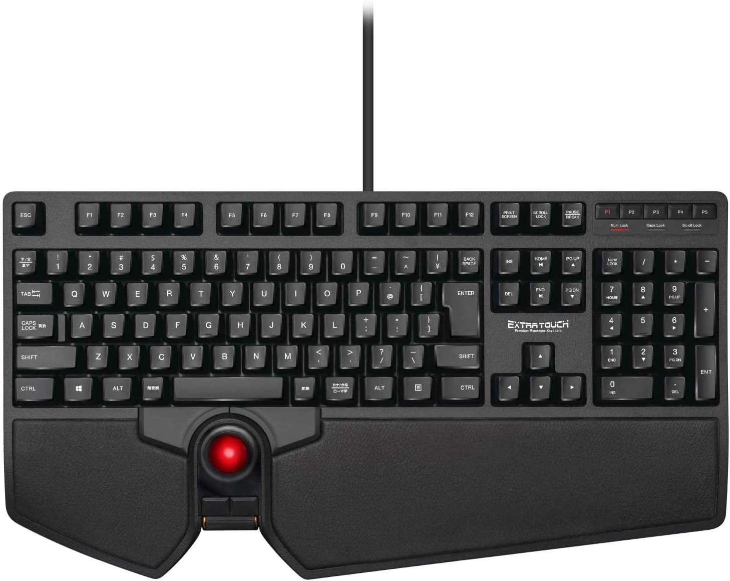 Amazon.com: ELECOM Japanese Layout Wired Keyboard with Built-in ...