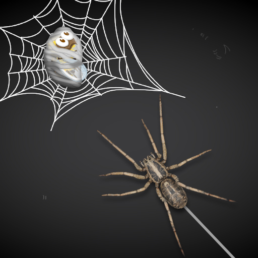 Spider Attack : Bug Games For Kids - App on Amazon Appstore
