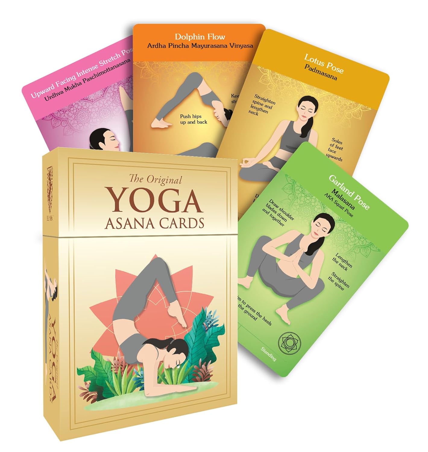 Buy The Original Yoga Asana Cards Workout Deck with Over 120 Yoga Poses ...