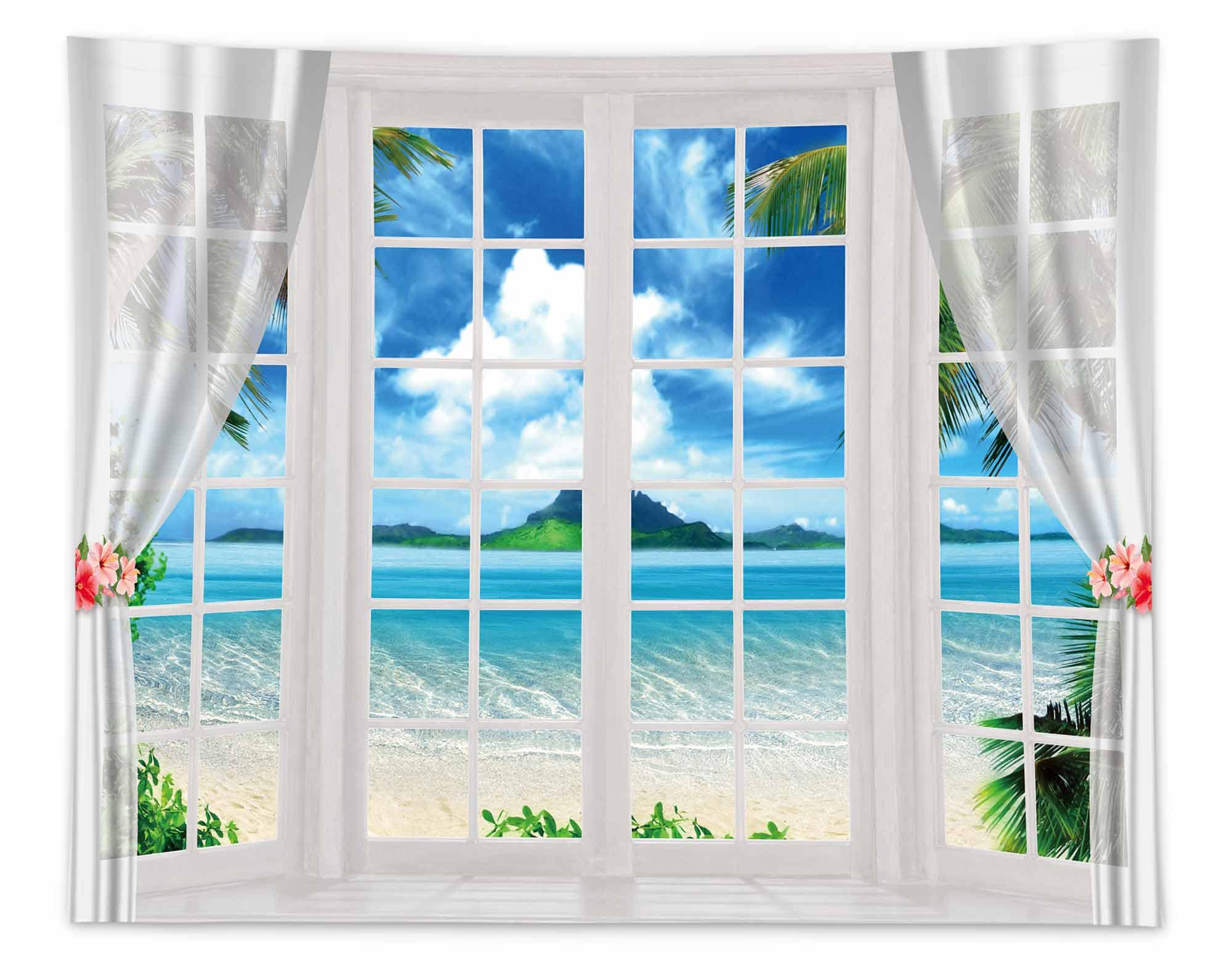 Amazon.com : Allenjoy 10x8ft Summer Beach Window Background Hawaiian ...