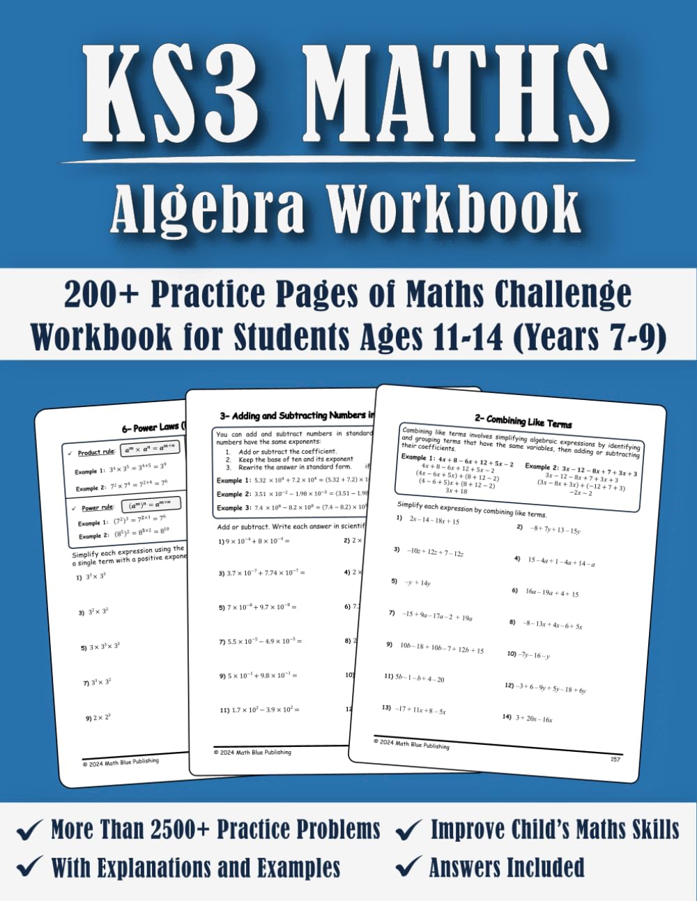 KS3 Maths - Algebra Workbook: Targeted Practice & Revision Workbook ...