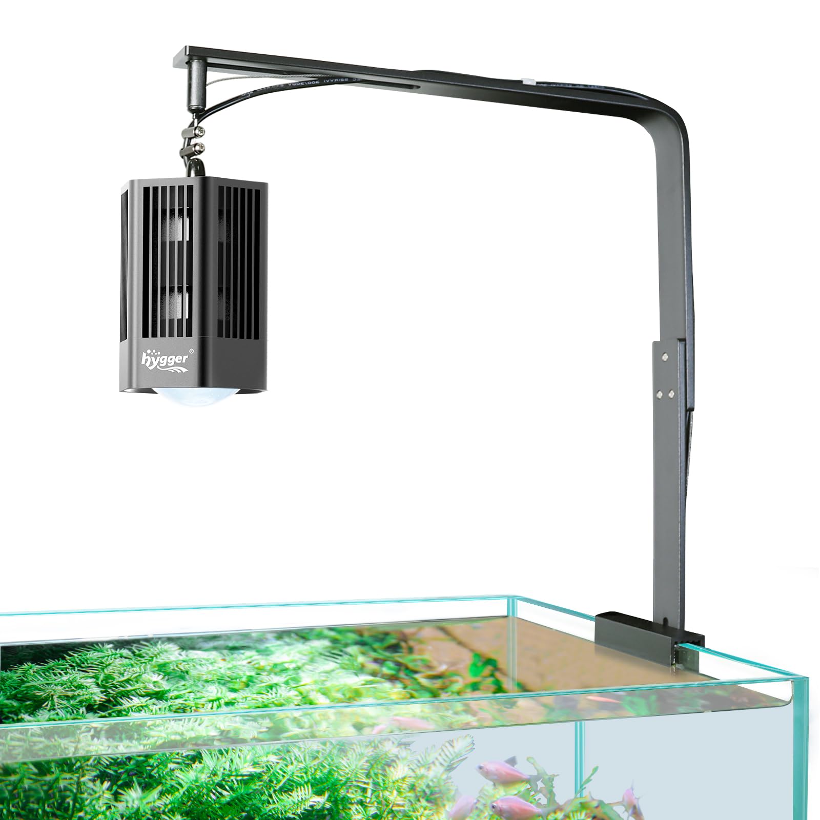 Planted Aquarium Led Lighting Planted Aquarium: Full Lighting Guide