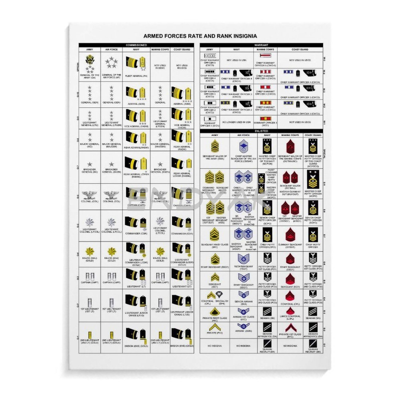 Endyak Armed Forces Rank And Rank Badges Guide Chart Art | Desertcart OMAN