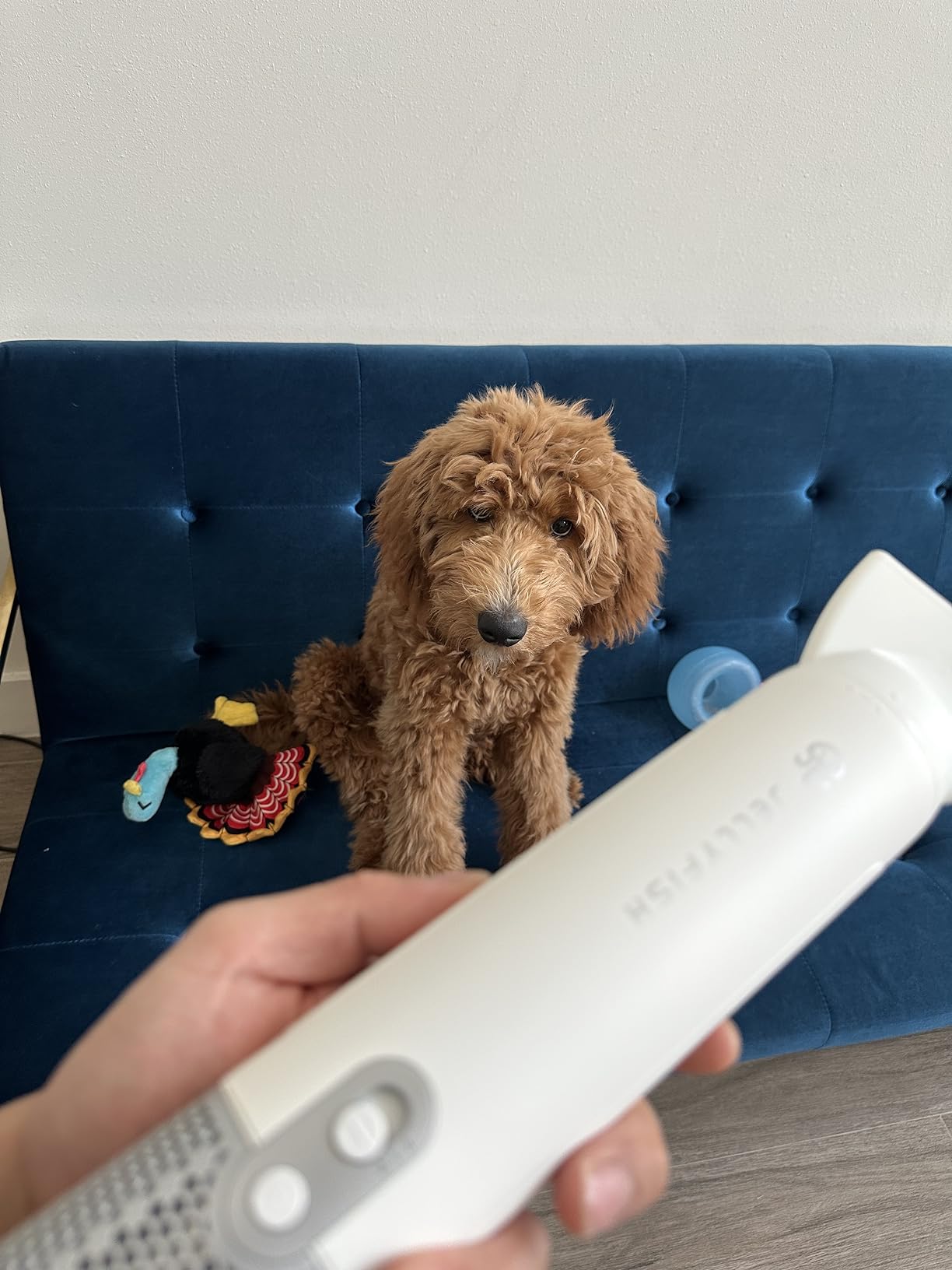 $18/mo - Finance Dog Dryer for Pet Grooming High Velocity Force Blower ...