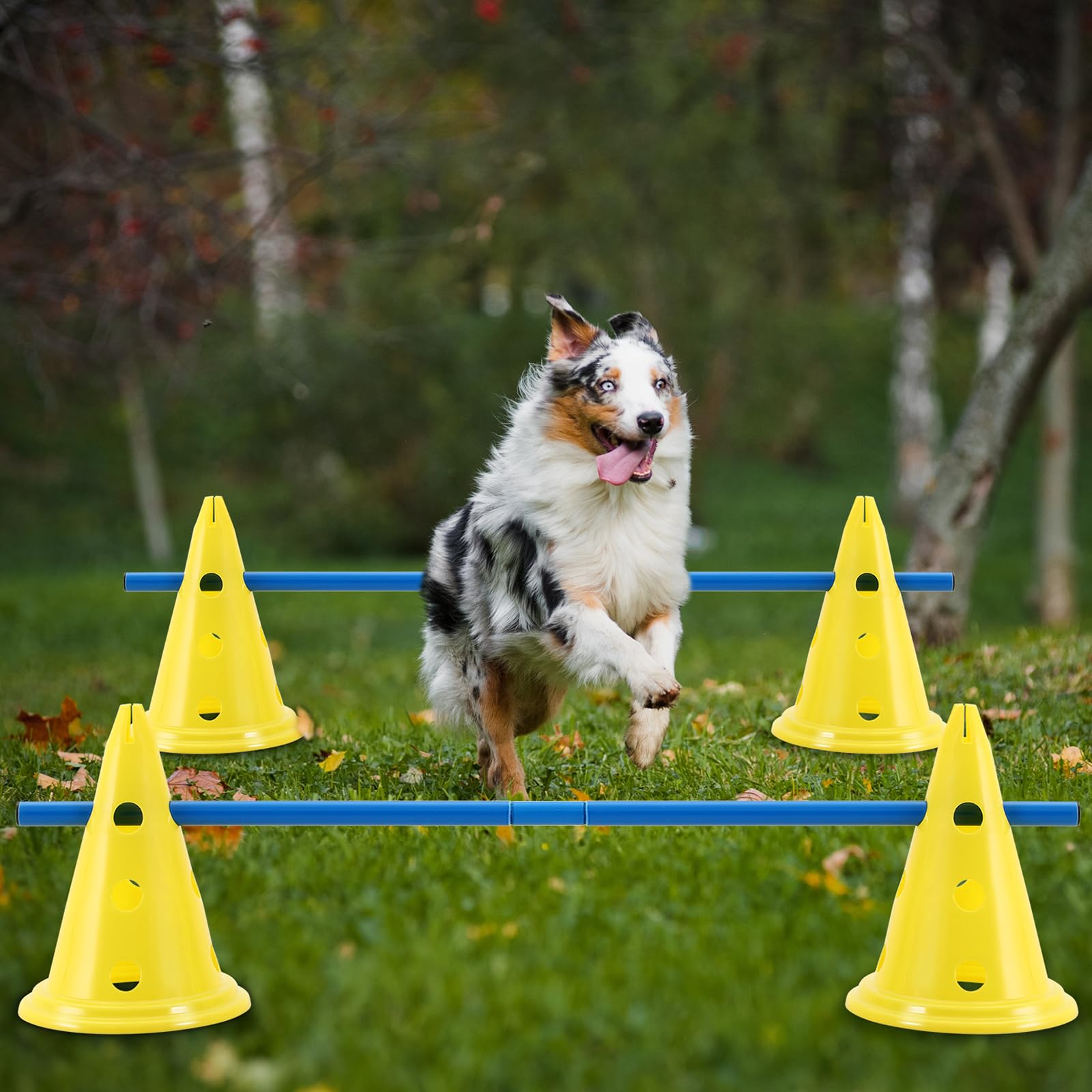 6 Sets Dog Agility Hurdle Cone Set Include 12 Agility Cones 6 Agility ...