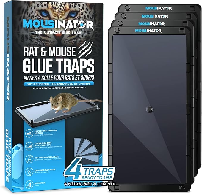 Mousinator Rat & Mouse Large Glue Traps | 4 PCS | Larger & Heavier ...