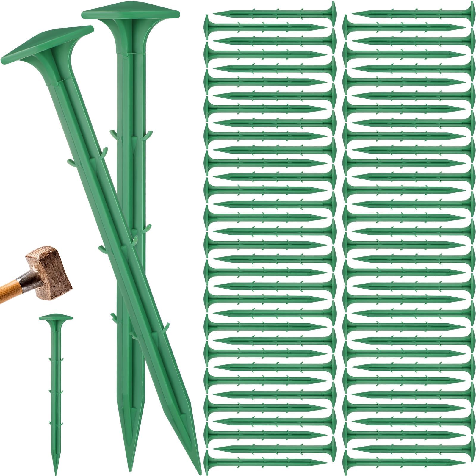 Amazon.com : Mighty-Spikes 50-Pack Green - 6" Heavy-Duty Garden Stakes ...