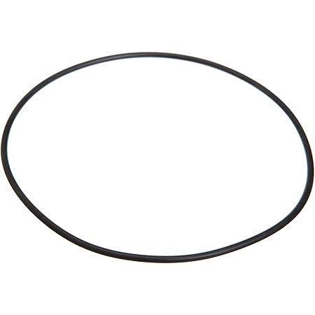 Amazon.com: Pentair 14965-0028 Plug and Gasket Assembly Replacement for ...
