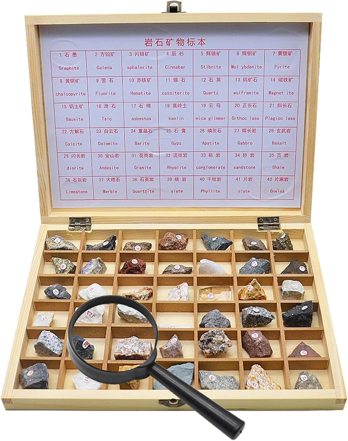 Amazon.com: CEVIZ 42Pcs Metamorphic Rock Specimen, Geology Rock ...