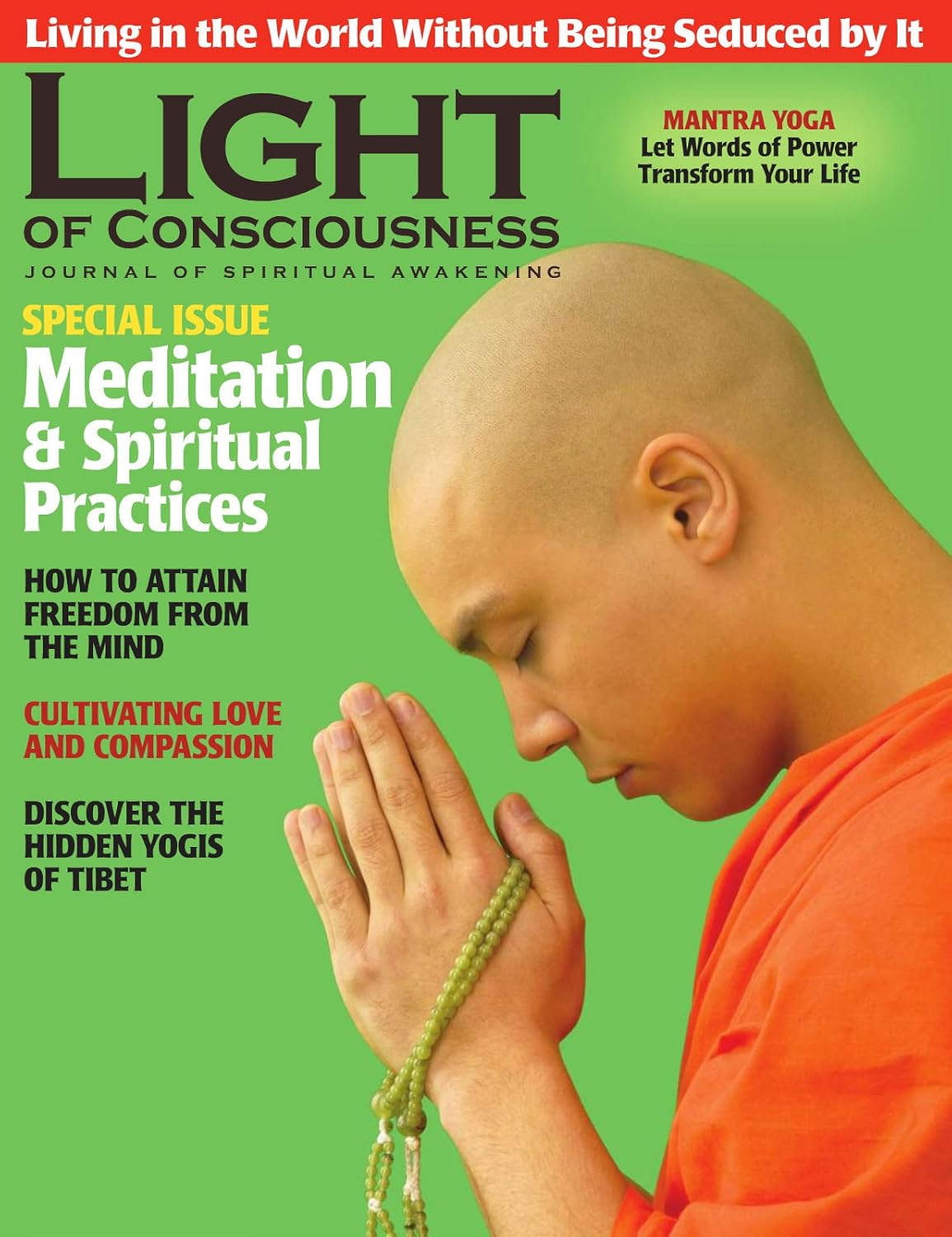 Amazon.com: Light of Consciousness - Autumn 2011 eBook : Light of ...