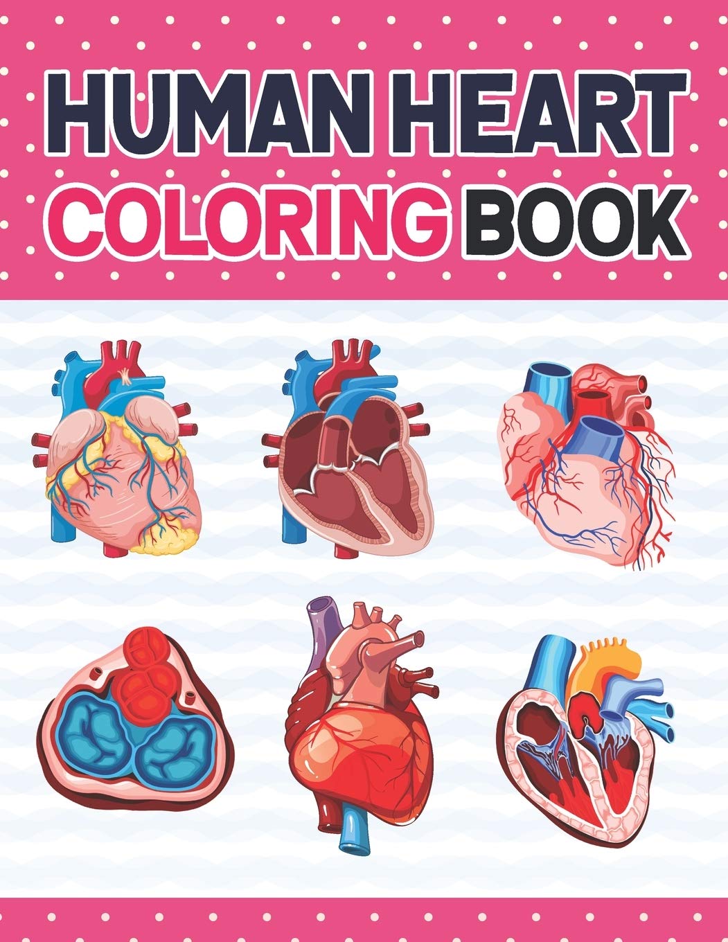 Buy Human Heart Coloring Book: The ultimate human Heart self test guide ...