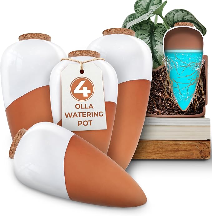 Amazon.com: Everbrook Plant Self Watering Globes - Terracotta Watering ...