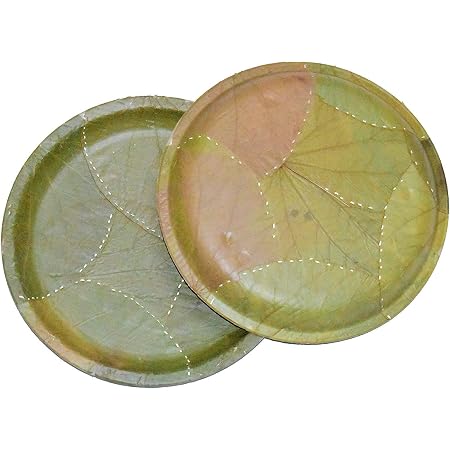 Vistaraku Green Leaf Plate - 10 Inches (Pack of 20 Plates) : Amazon.in ...