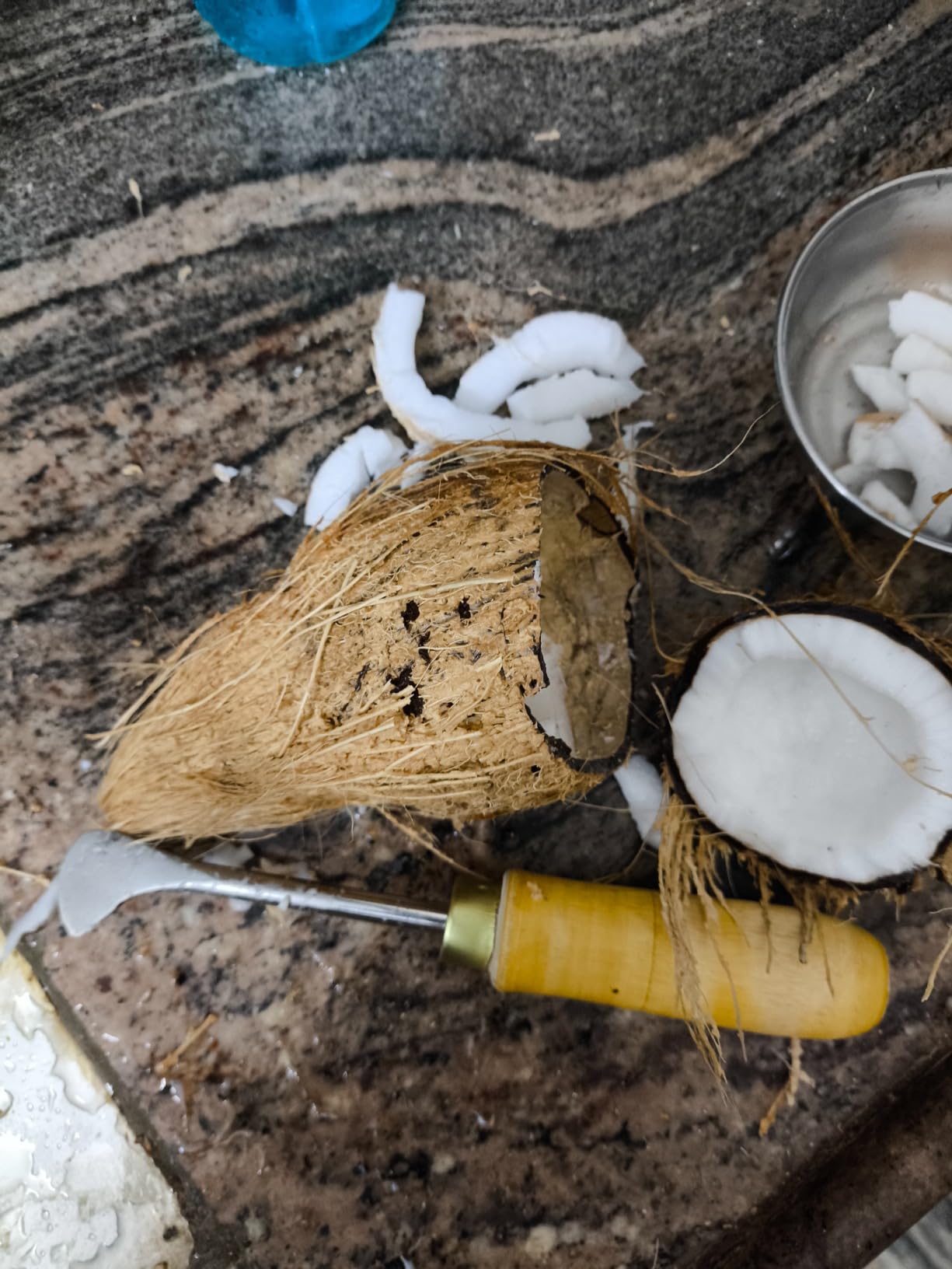 9 SQUARE Stainless Steel Coconut Slicer | Cutter | Peeler | Chopper ...