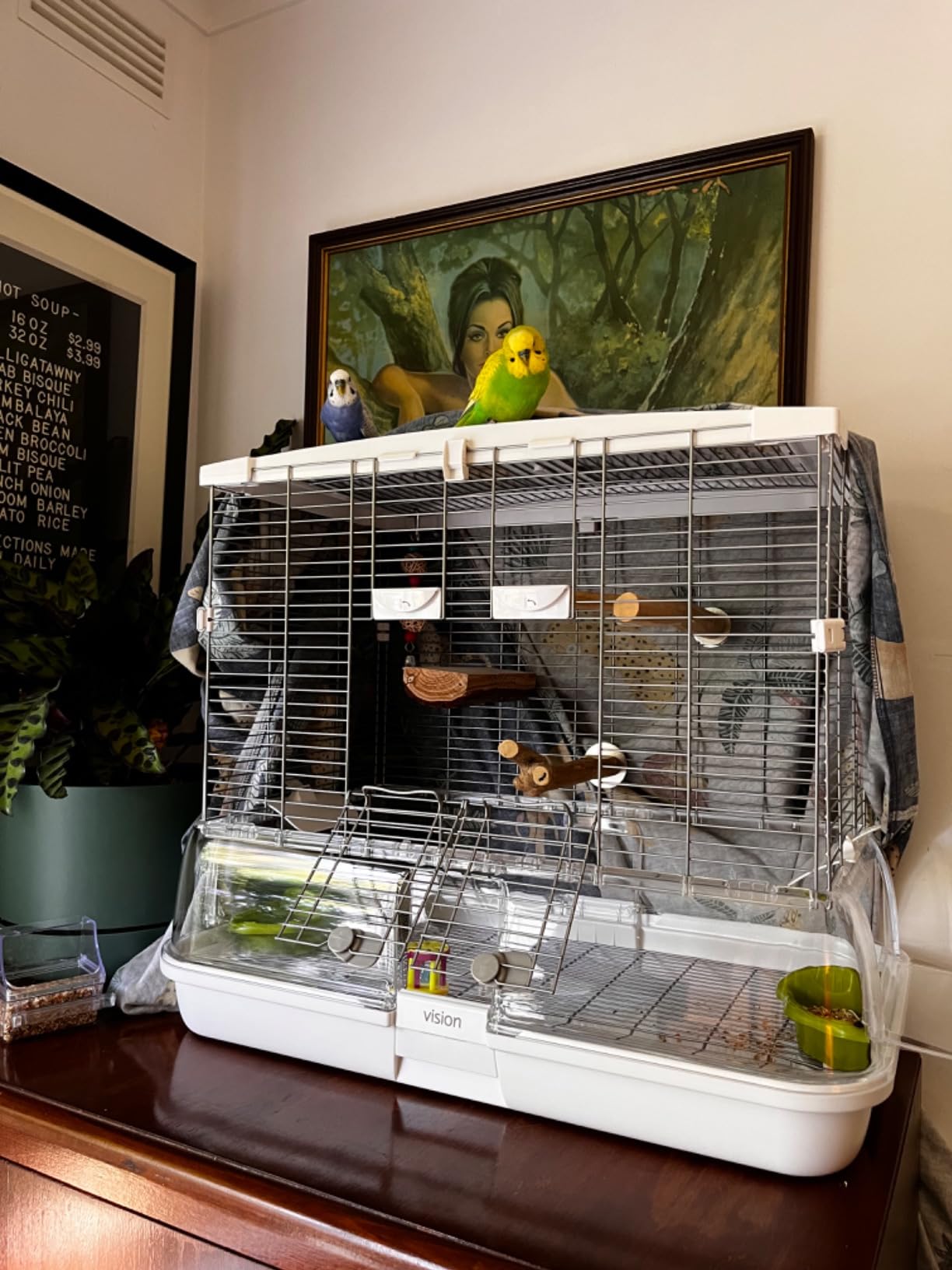 Vision M01 Wire Bird Cage, Bird Home for Parakeets, Finches and ...