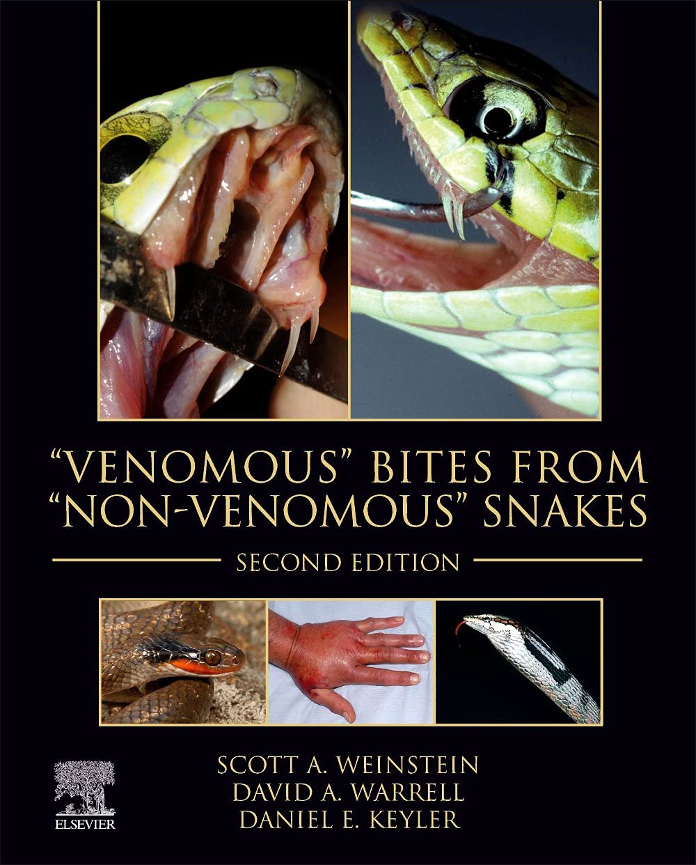 "Venomous" Bites from "Non-Venomous" Snakes : Weinstein, Scott A ...