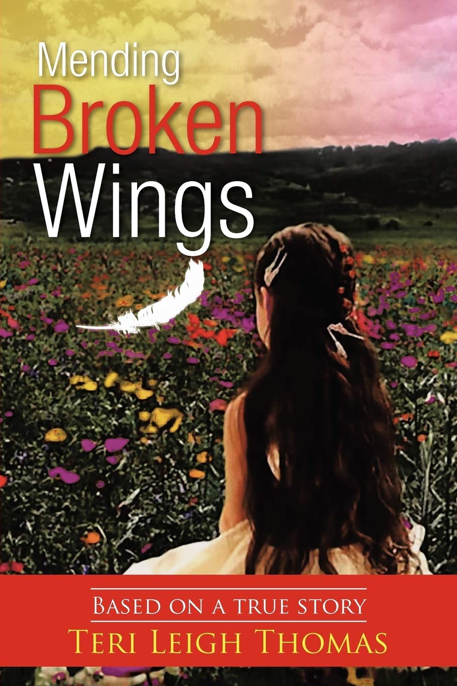 Mending Broken Wings: Based on a True Story: Thomas, Teri Leigh ...