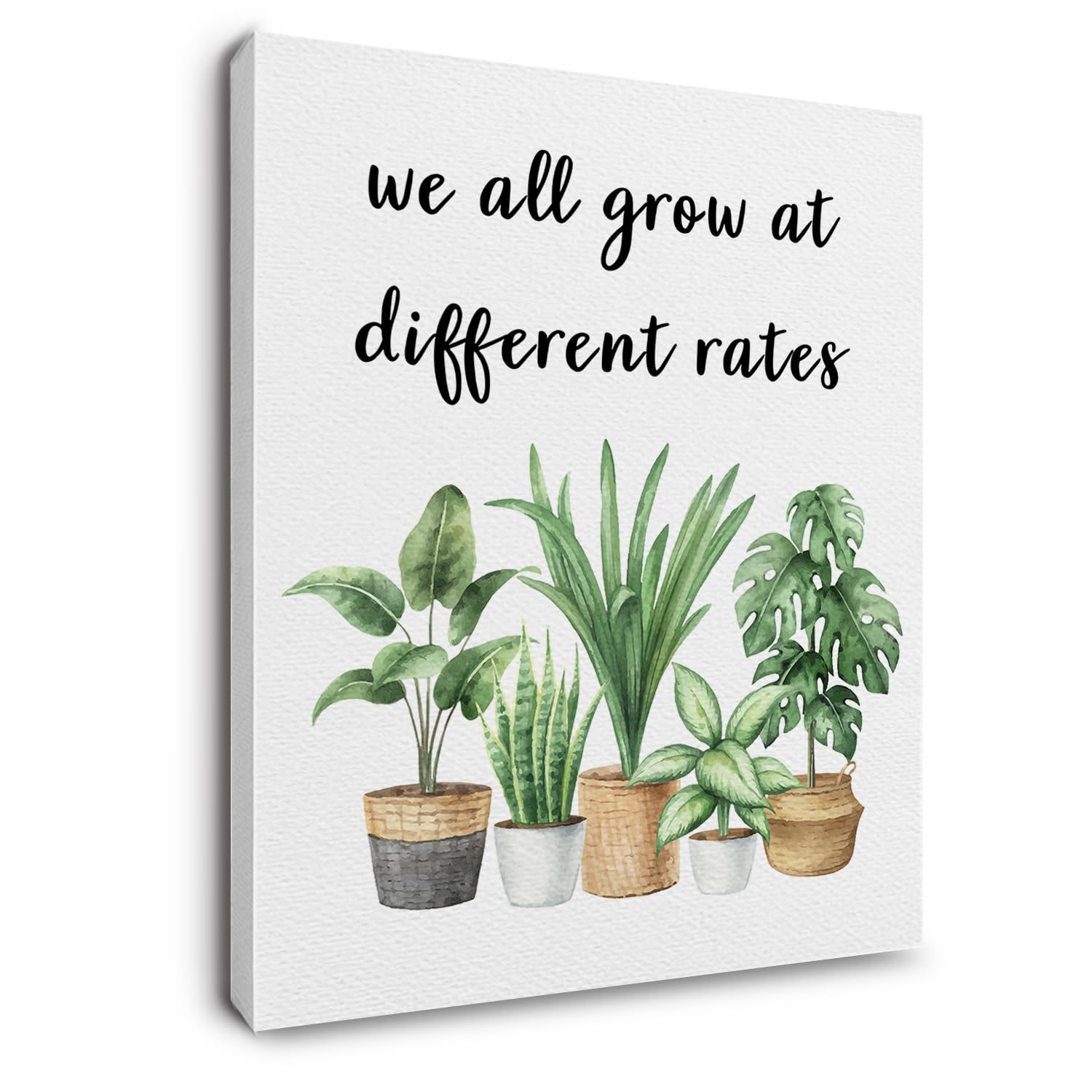 Amazon.com: Ryeolo Succulent Wall Art Prints,Mental Health Posters ...