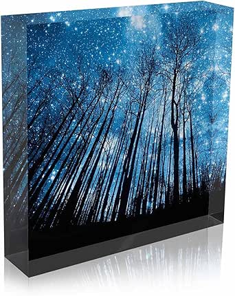 Amazon.com: SISROW Starry Night Sky Acrylic Home Desk Decor Forest ...