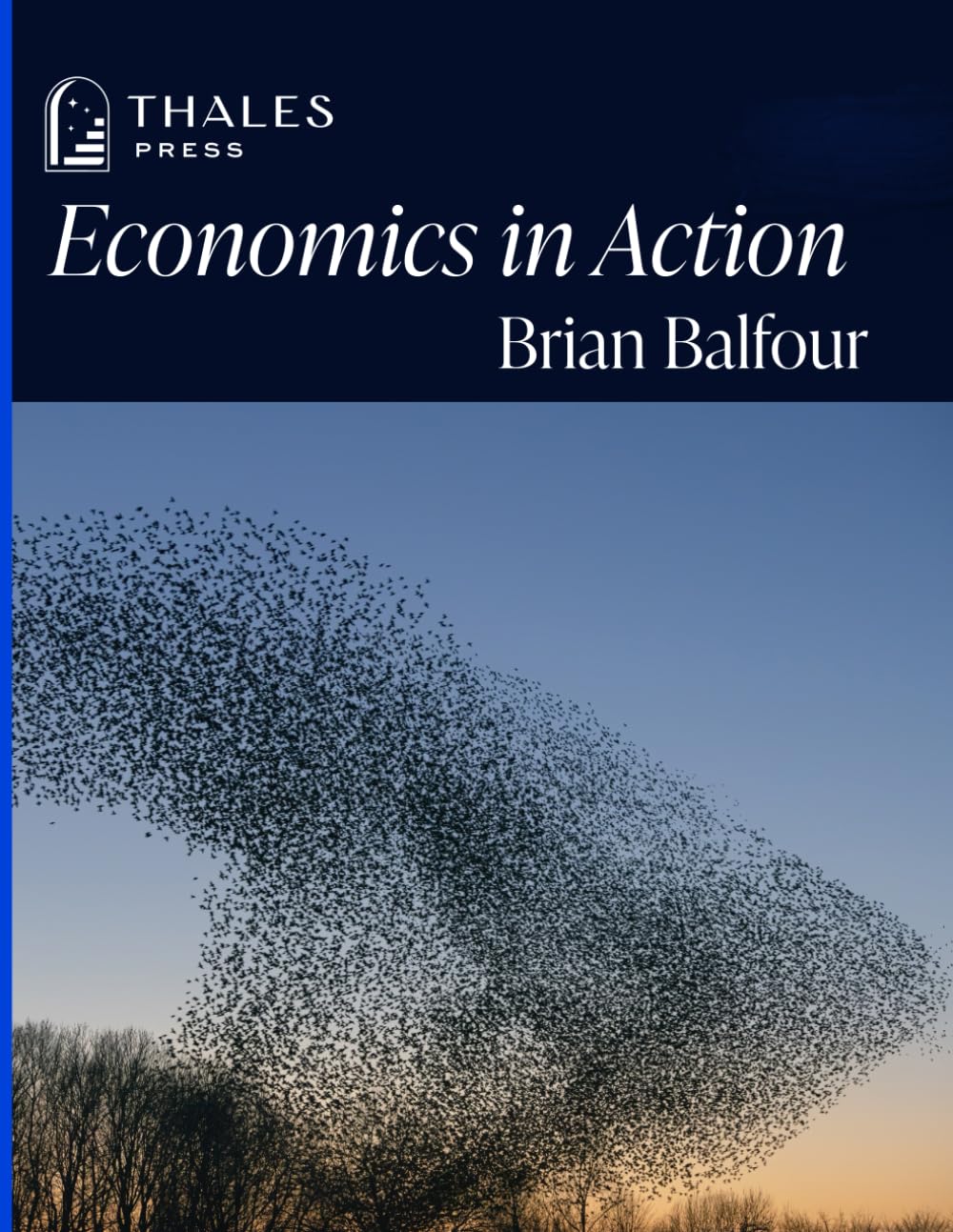Economics in Action: Balfour, Brian, Brady, Winston: 9798362031411 ...