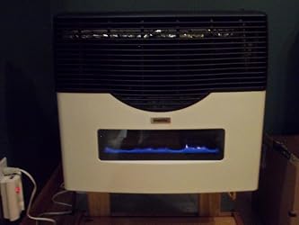 MARTIN Direct Vent Propane Wall Heater with Room Thermostat and ...