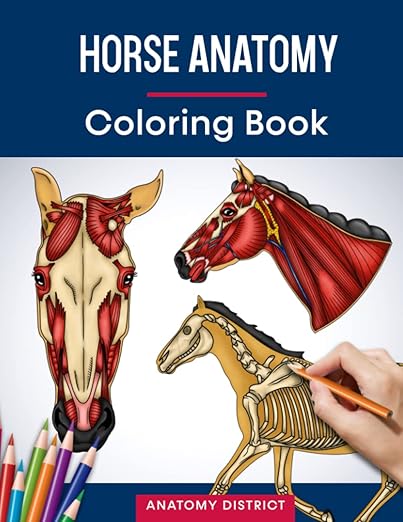 Amazon.com: Horse Anatomy Coloring Book: Incredibly Detailed Self-Test ...