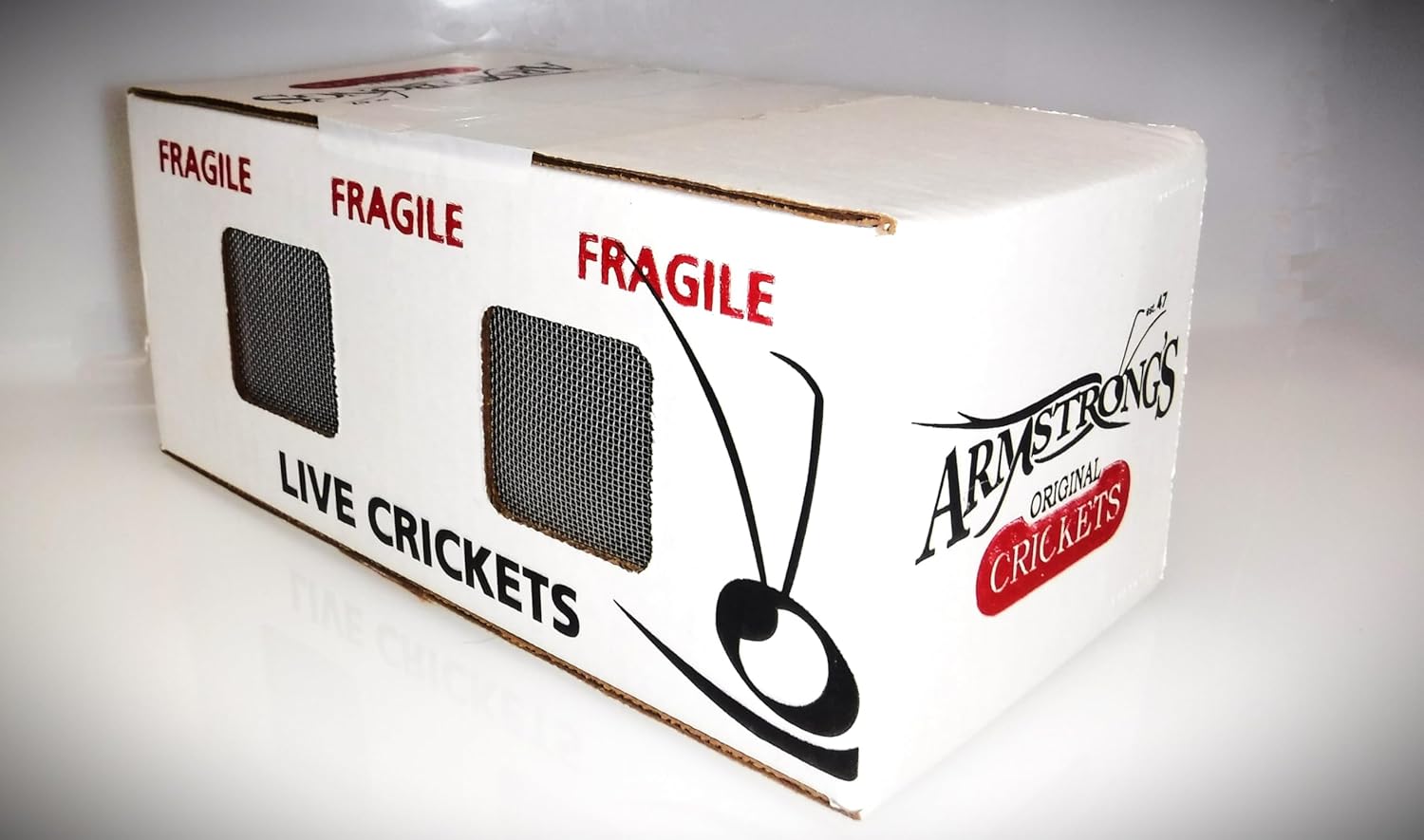 Amazon.com : Armstrong's Original Crickets Superworms (Zophobas morio ...