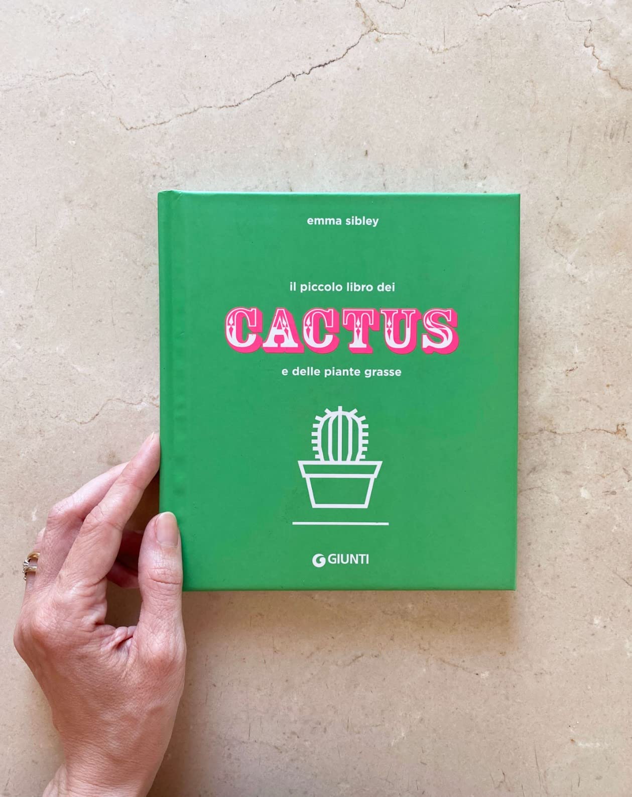 Il piccolo libro dei cactus e delle piante grasse. Ediz. a colori ...