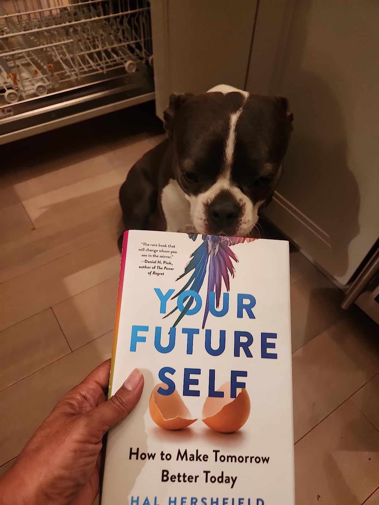 Your Future Self: How to Make Tomorrow Better Today: Hershfield, Hal ...