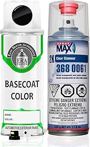 Amazon.com: ERA Paints PX8/DX8/X13 - Black for RAM Exact Match ...