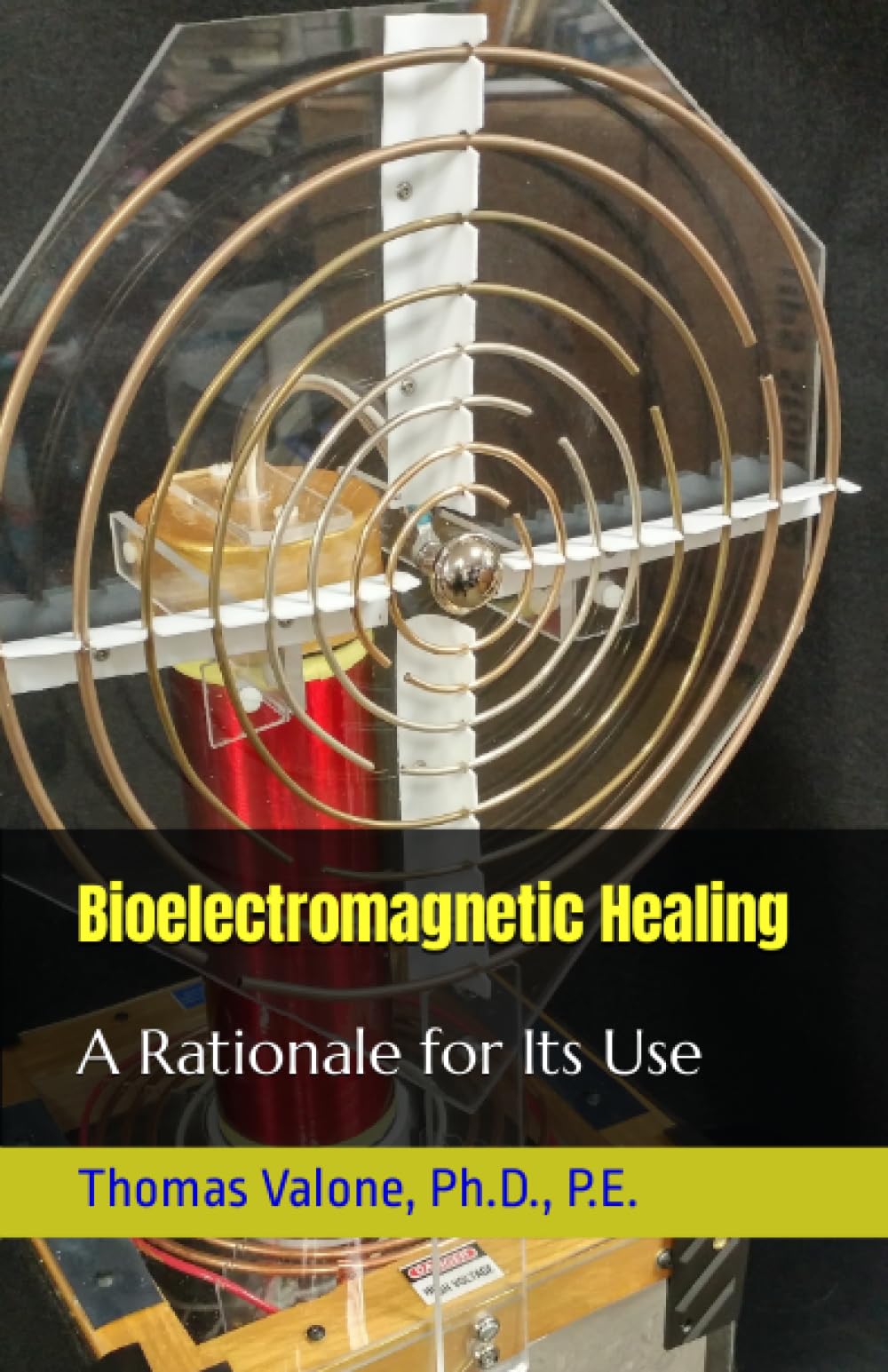 Bioelectromagnetic Healing: A Rationale for Its Use: 9798860613751 ...