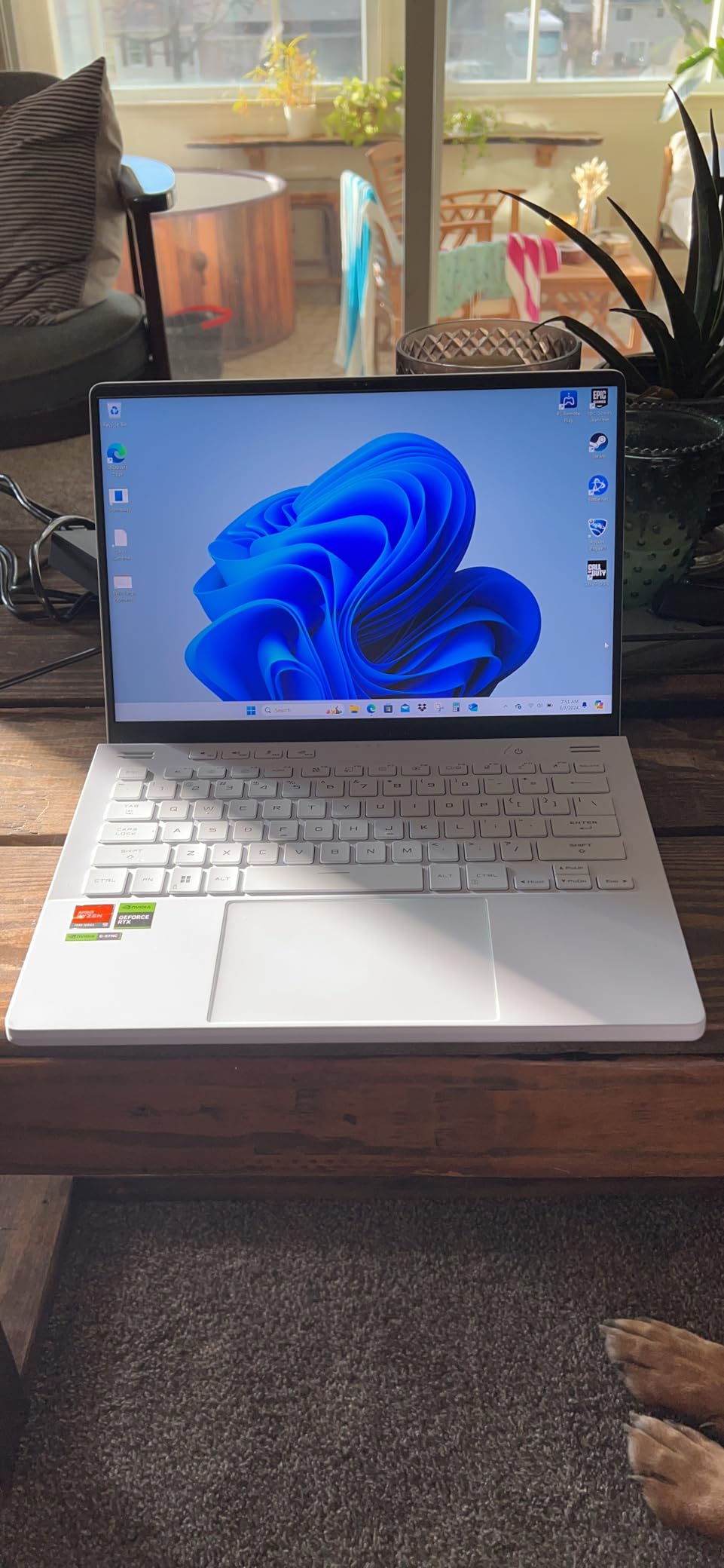 Amazon.com: ASUS Zephyrus G14 Moonlight White Gaming Laptop 14.0" 165 ...