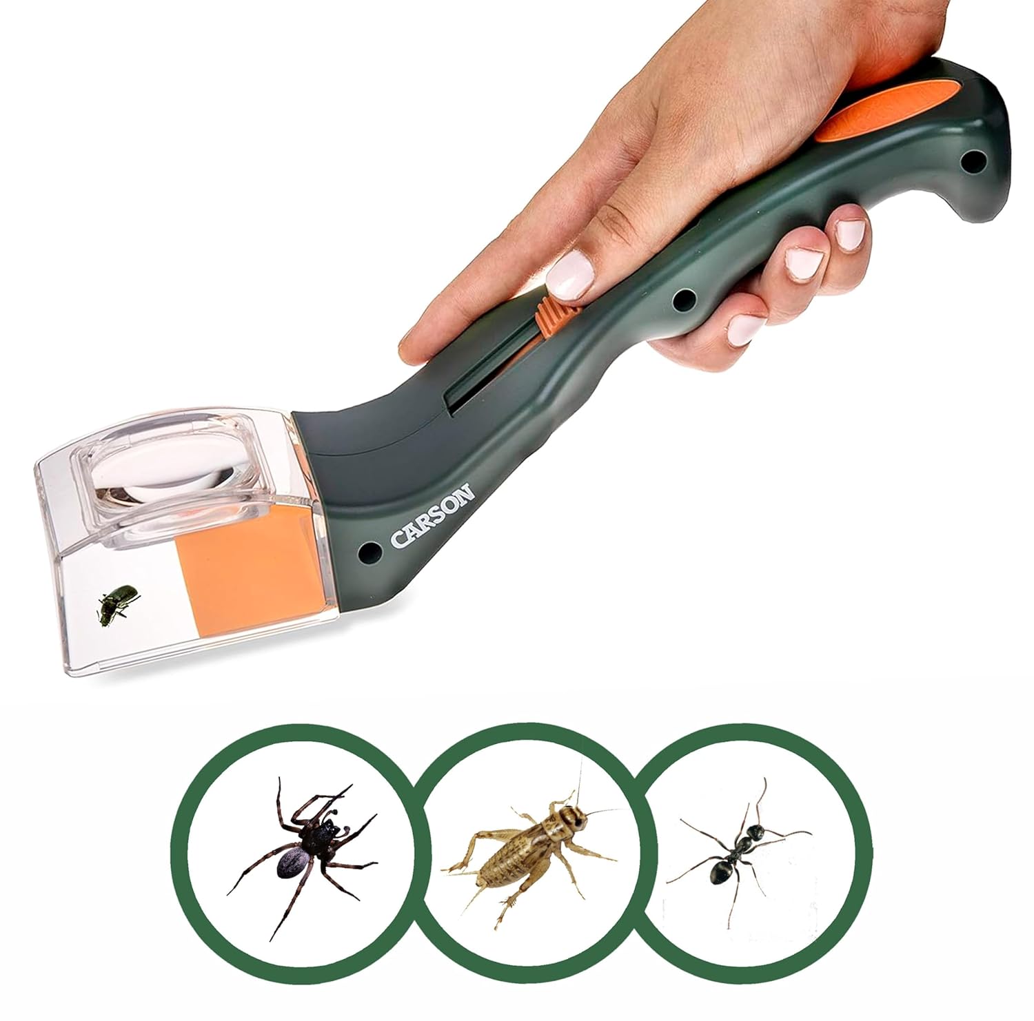 Carson BugView Quick-Release Bug Catching Tool and...