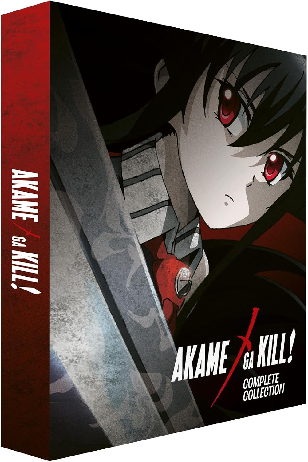 Akame Ga Kill (Limited Collector's Edition): Amazon.ca: Tomoki Kobayashi: Movies & TV Shows