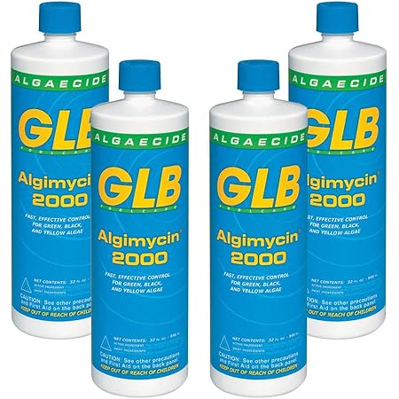 Amazon.com: GLB 71104A-04 Algimycin 2000 Pool Algaecide, 4-Pack ...