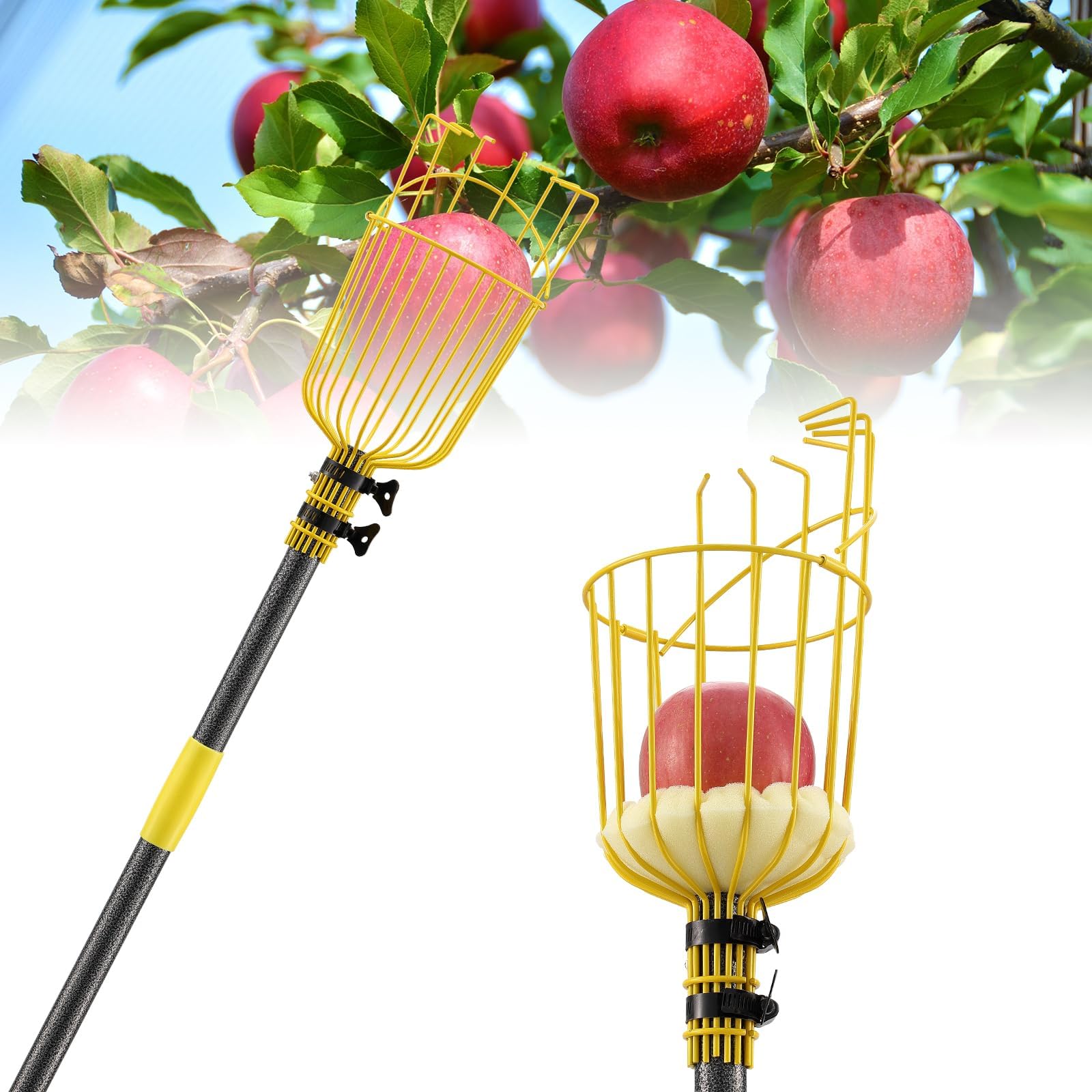 Amazon.com : Zeepzer 13 FT Fruit Picker Pole Adjustable Fruits Picker ...