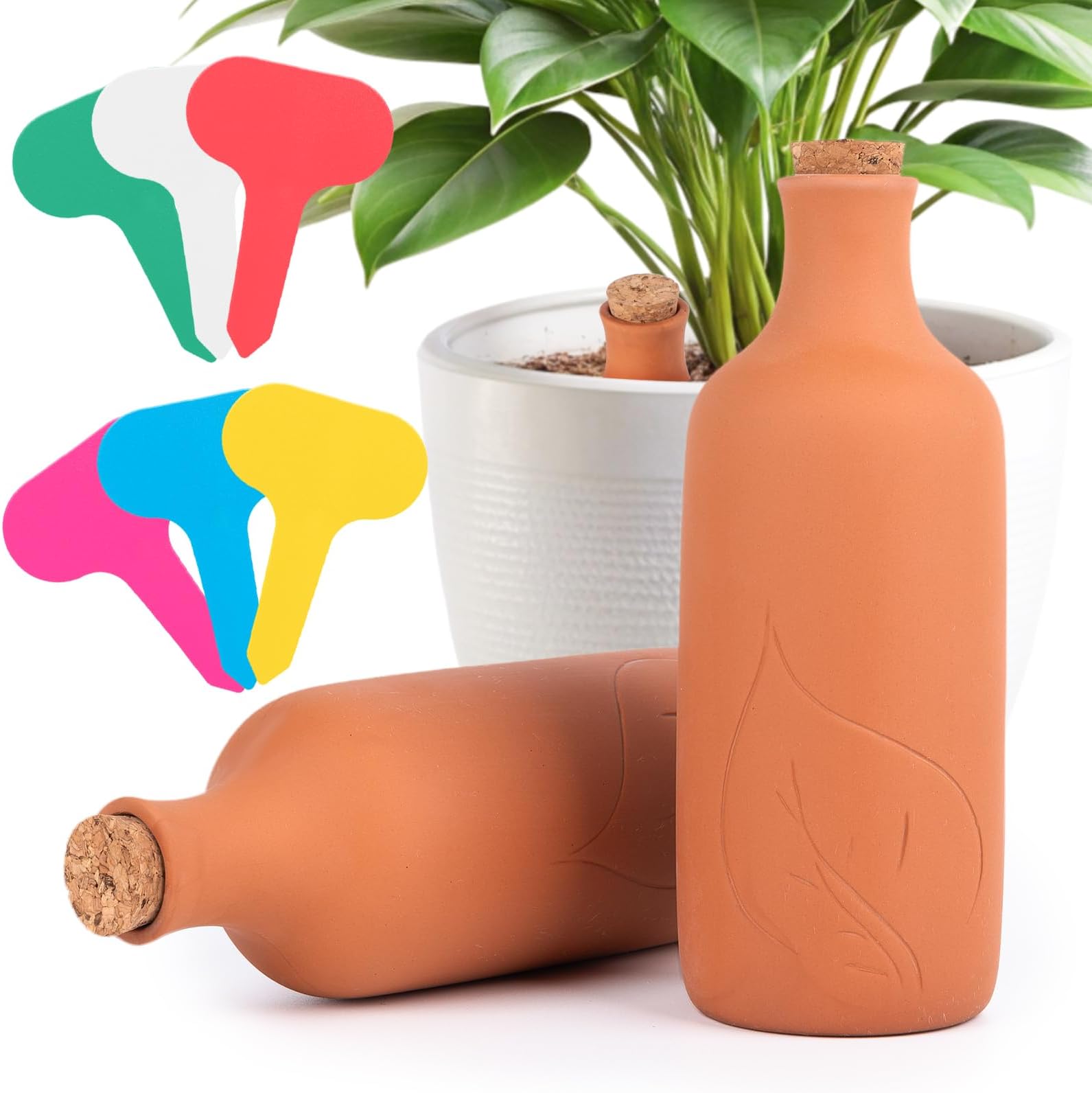 Amazon.com: The Olla Company Classic Olla Watering Pot with Lid ...