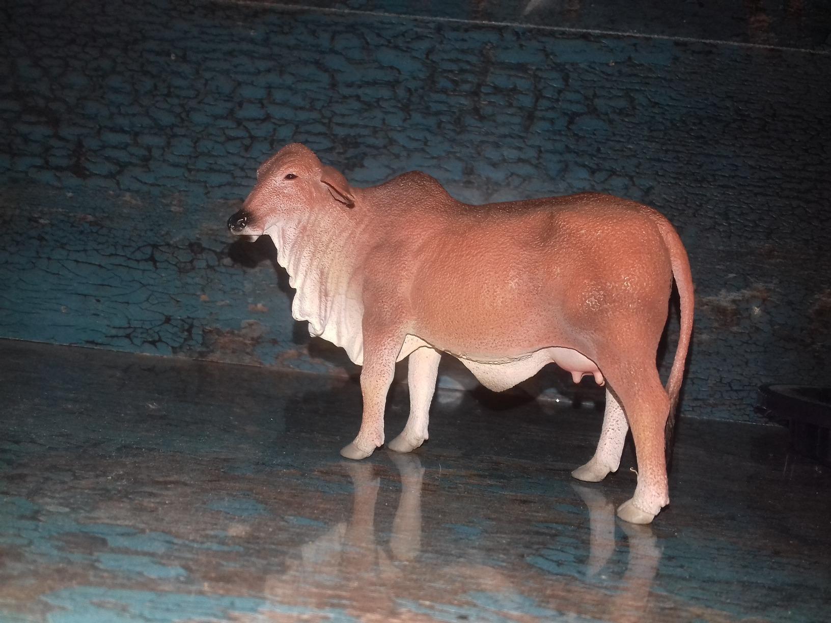 Collecta Hamleys Collecta Red Brahman Cow,Multi Color : Amazon.in: Toys ...