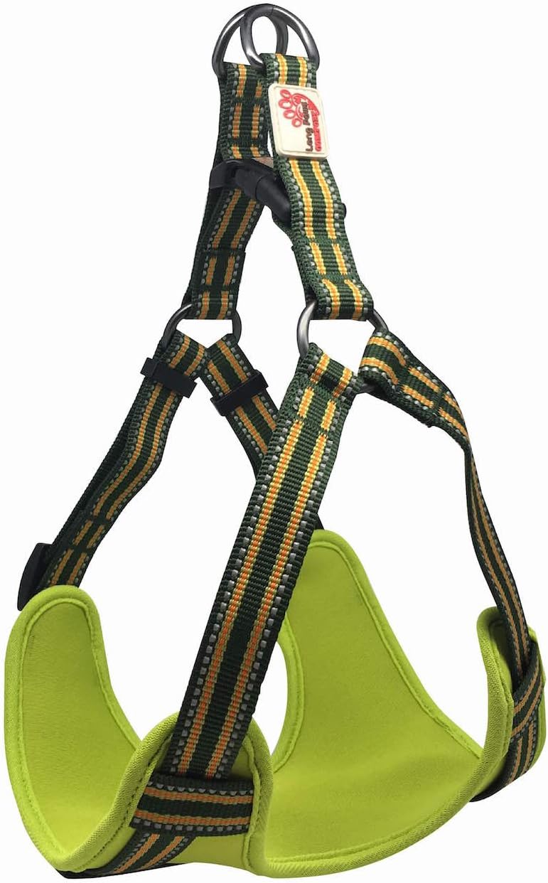 Long Paws Comfort Reflective Padded Step-in Dog Harness, Medium, Green ...