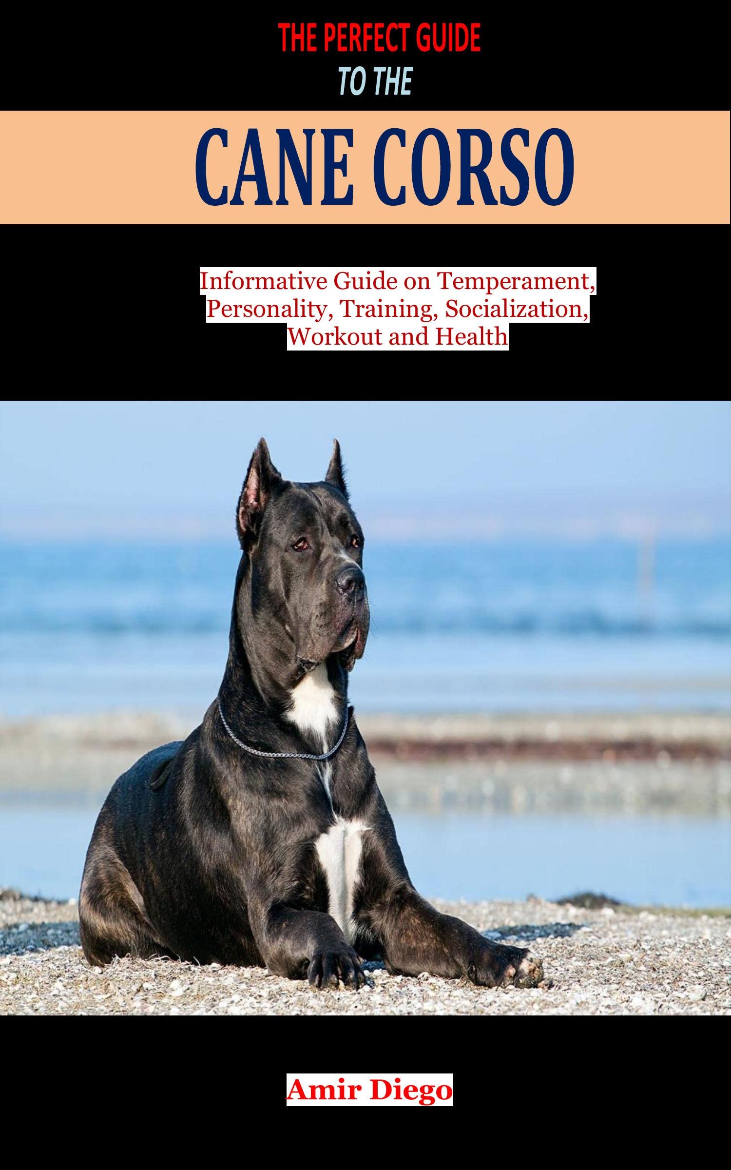 Buy THE PERFECT GUIDE TO THE CANE CORSO: THE PERFECT GUIDE TO THE CANE ...